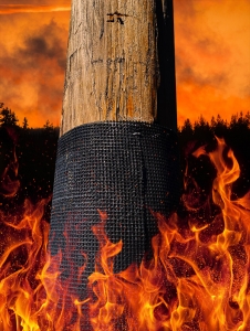 Utility Wood Pole Inspection & Treatment Services - Alamon